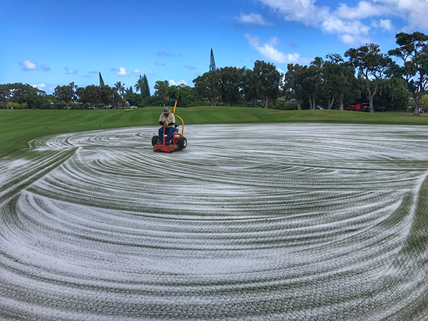 course details - Princeville Makai Golf Club – Makai Course