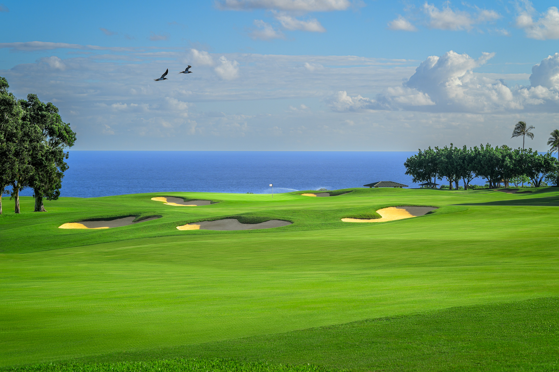 HOME - Princeville Makai Golf Club – Makai Course